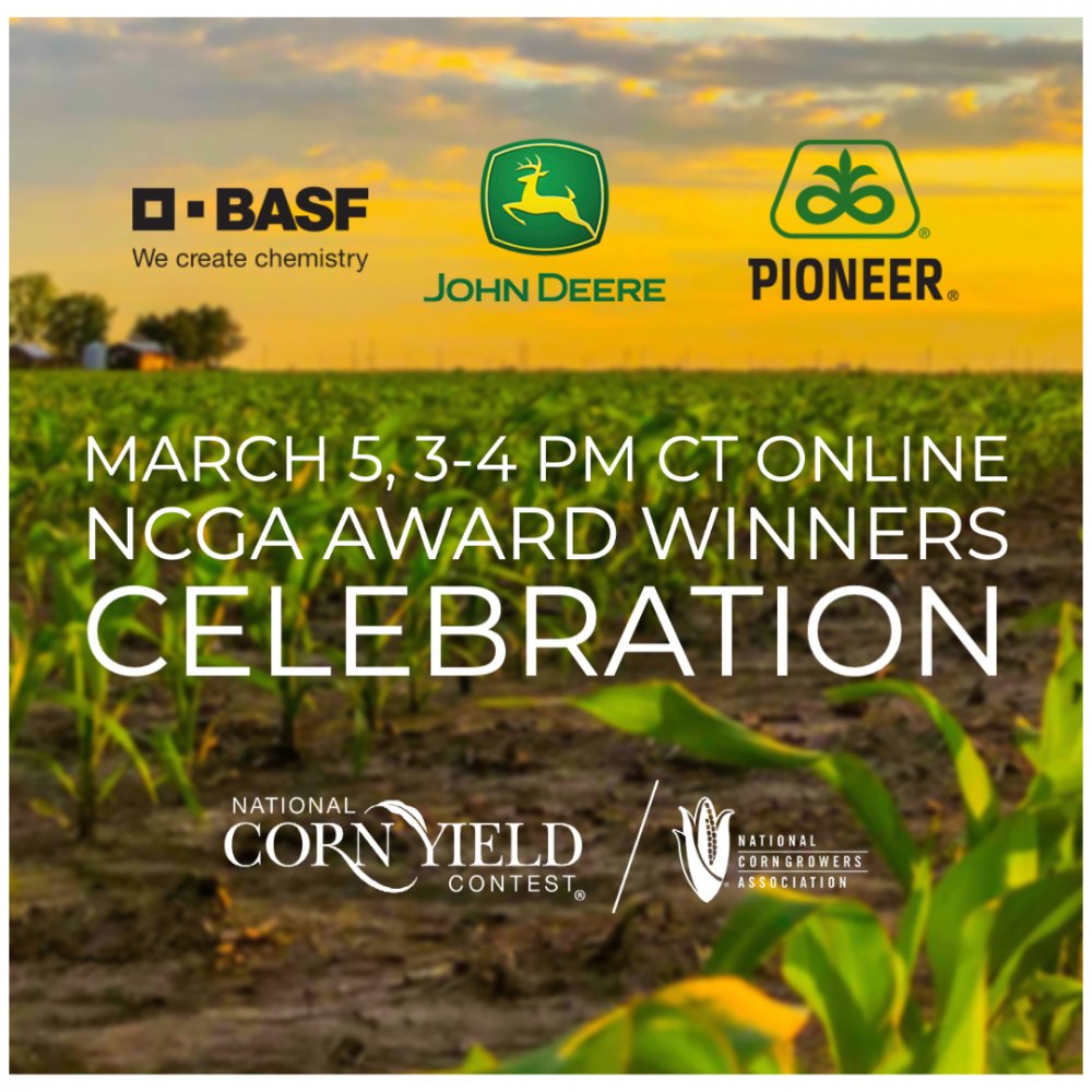 Celebrate 2020 NCYC, Member and Association Award Winners Next Friday!