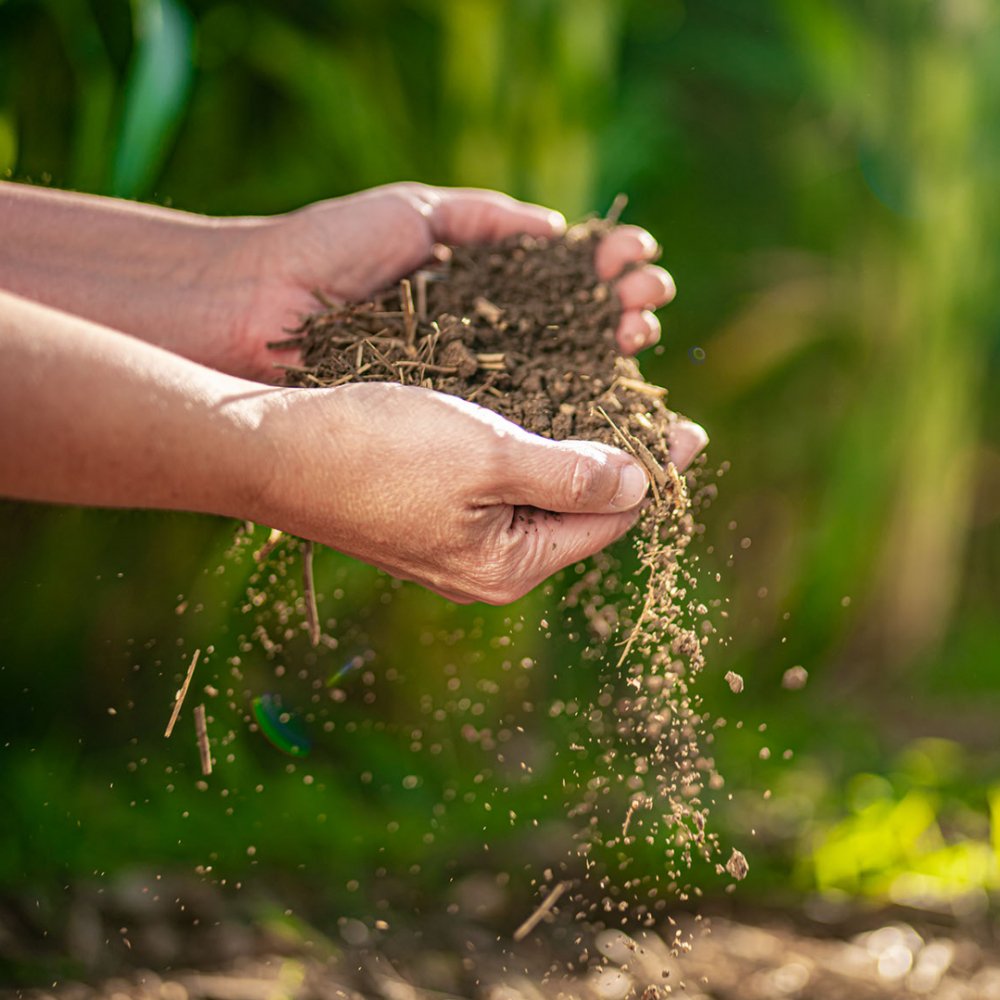 Corn Farmers Launch Campaign to Open Minds, Share Sustainability Story ...