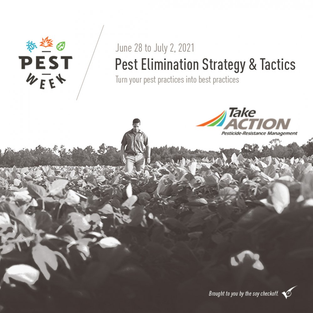 It’s Time to “Take Action” during PEST Week!