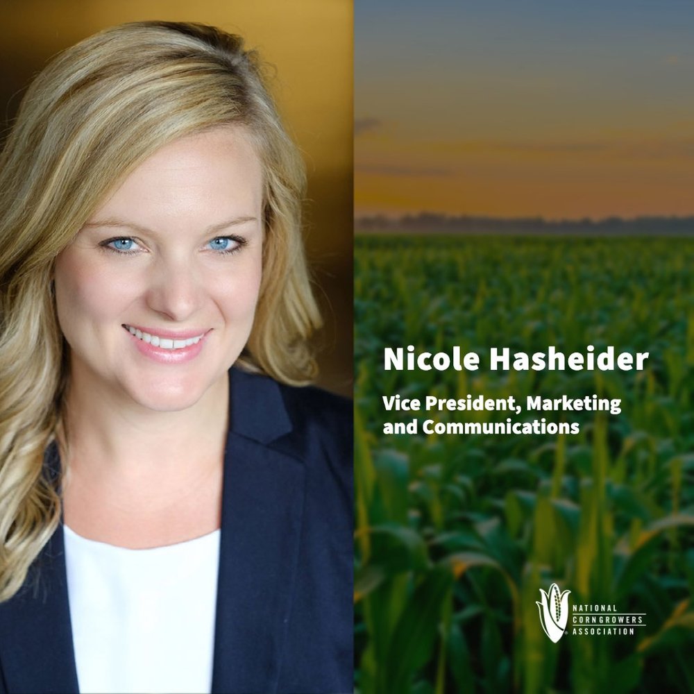 Nicole Hasheider Tapped to Lead NCGA’s Marketing and Communications Program
