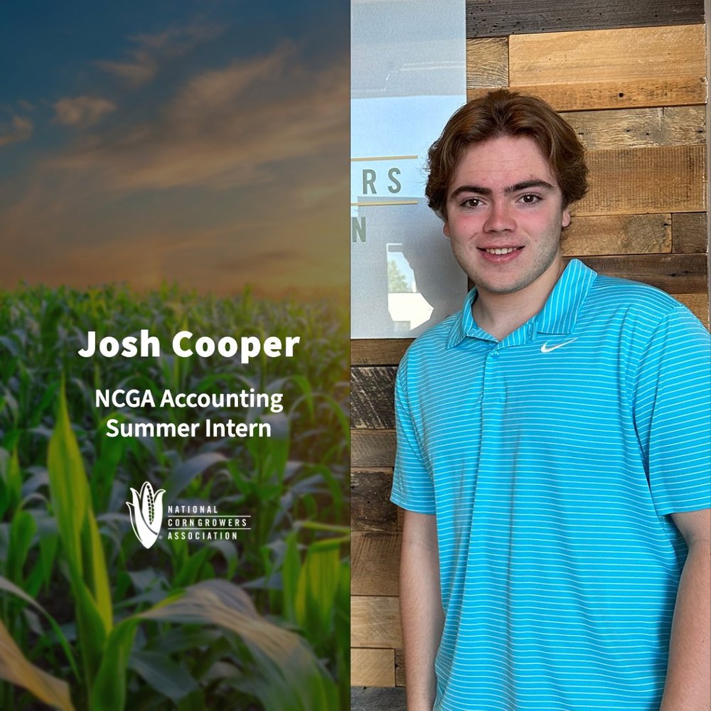 Summer Interning “Accounts” for Excellent Trade Association Experiences