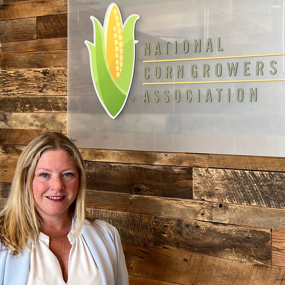 McCabe Promoted to Director of Accounting and Finance