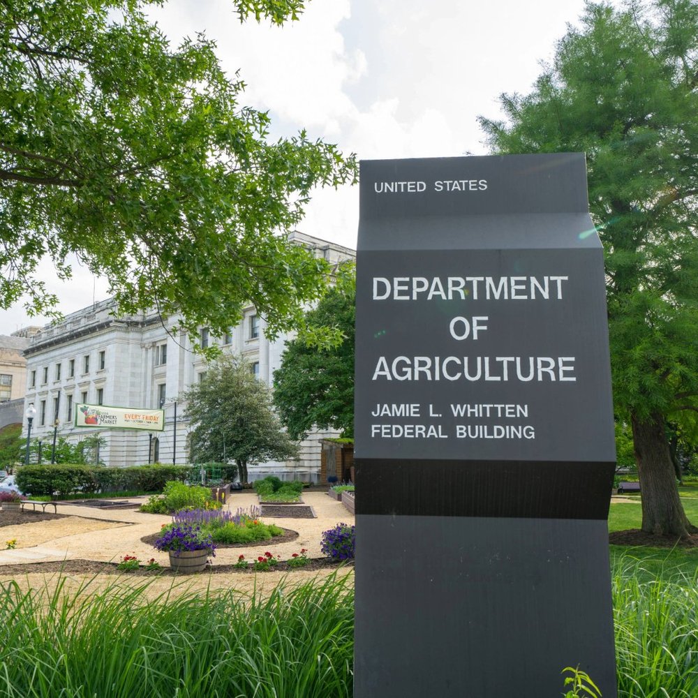 Corn Growers Alarmed by New Supply Projections