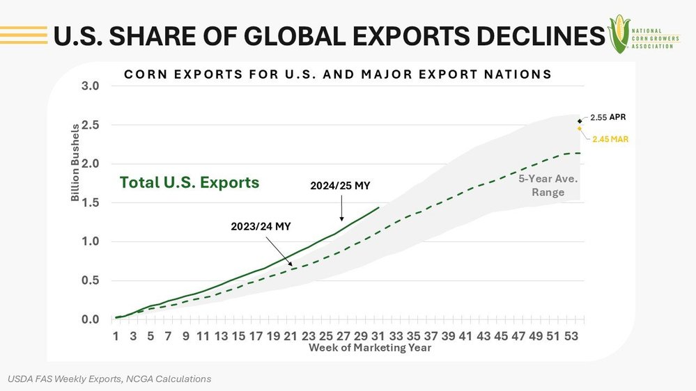 Strong Corn Exports Depend on Market Access