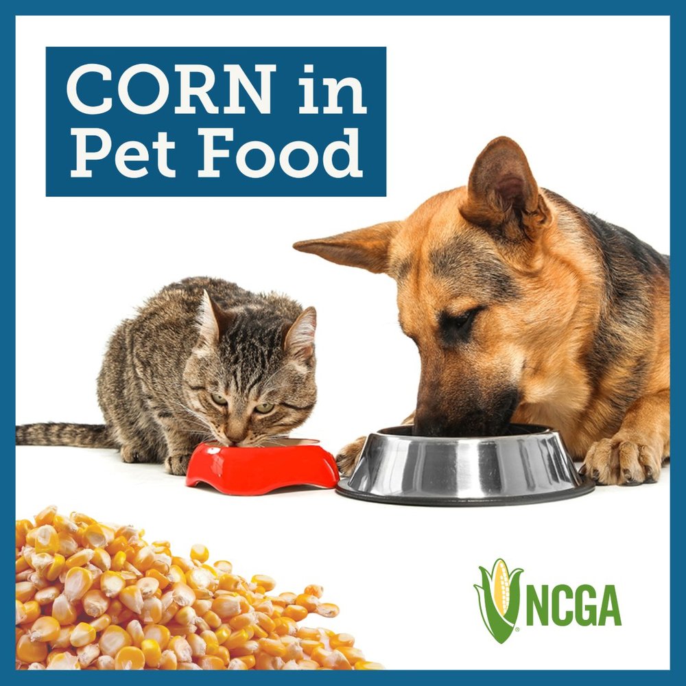 Corn Ranks Number One in Pet Food Ingredients