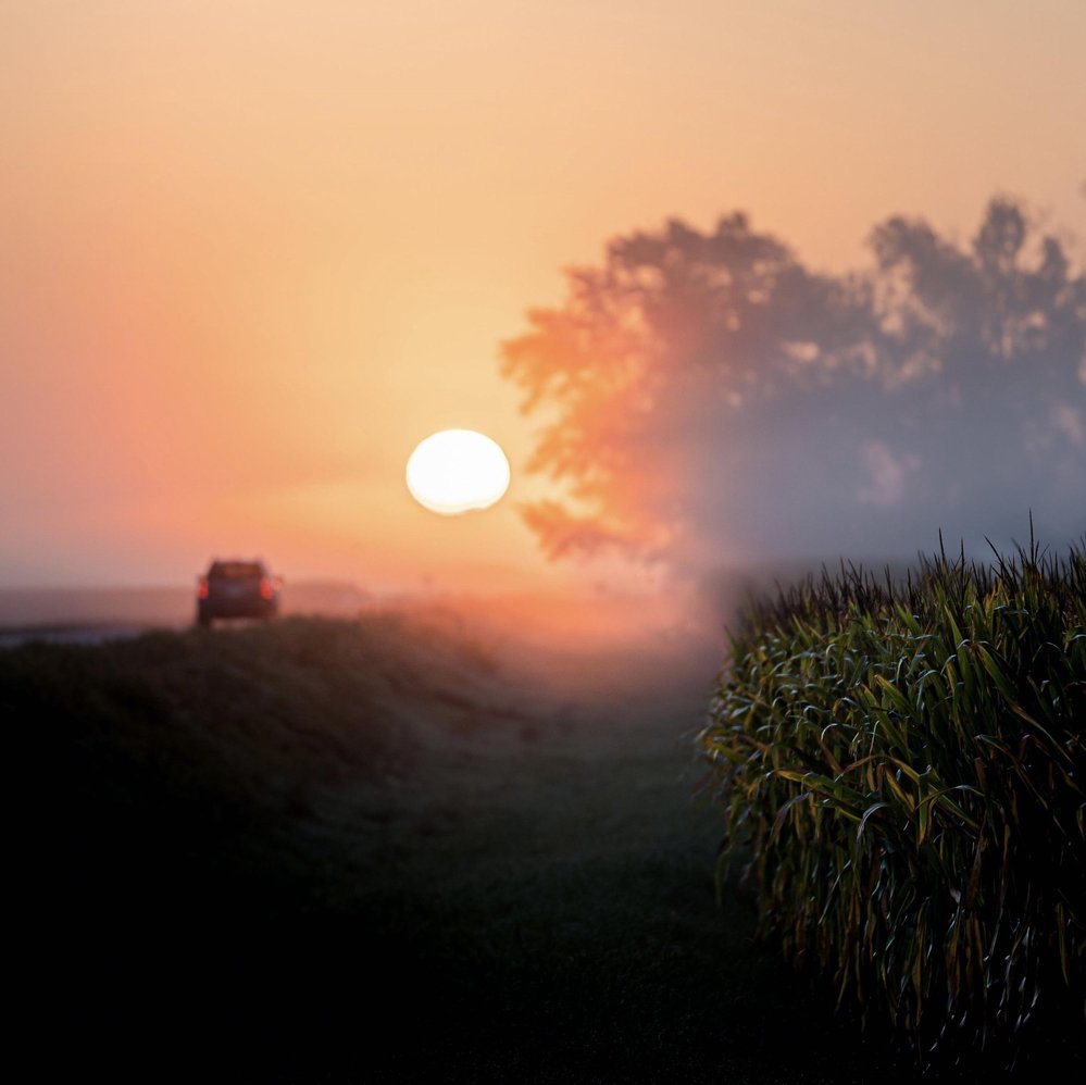 Farmers Would Feel Impact if MAHA Commission Targets Pesticides, Survey ...