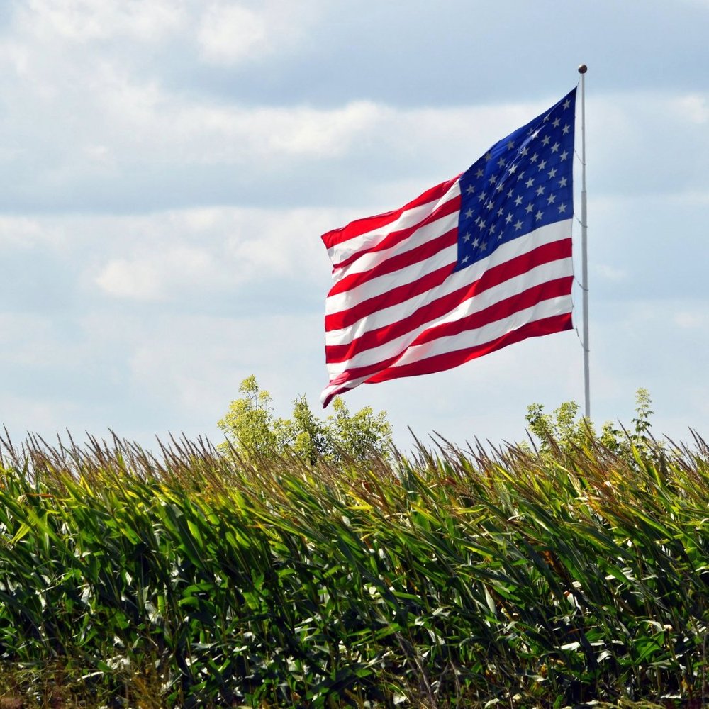 Farmers Report Grim Economic Outlook