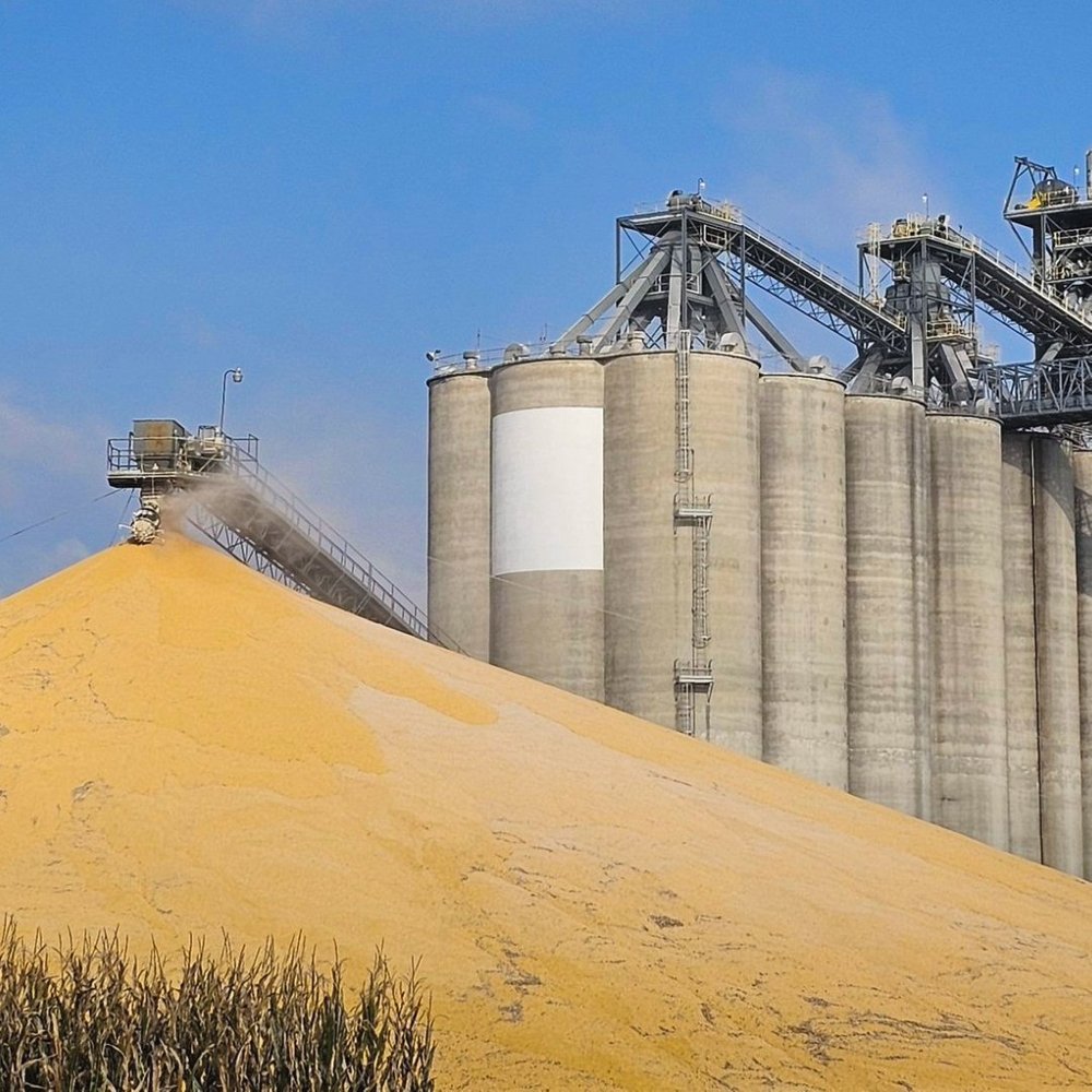 To Sell or to Store: Basis and Storage Concerns Shaping Corn Farmers ...