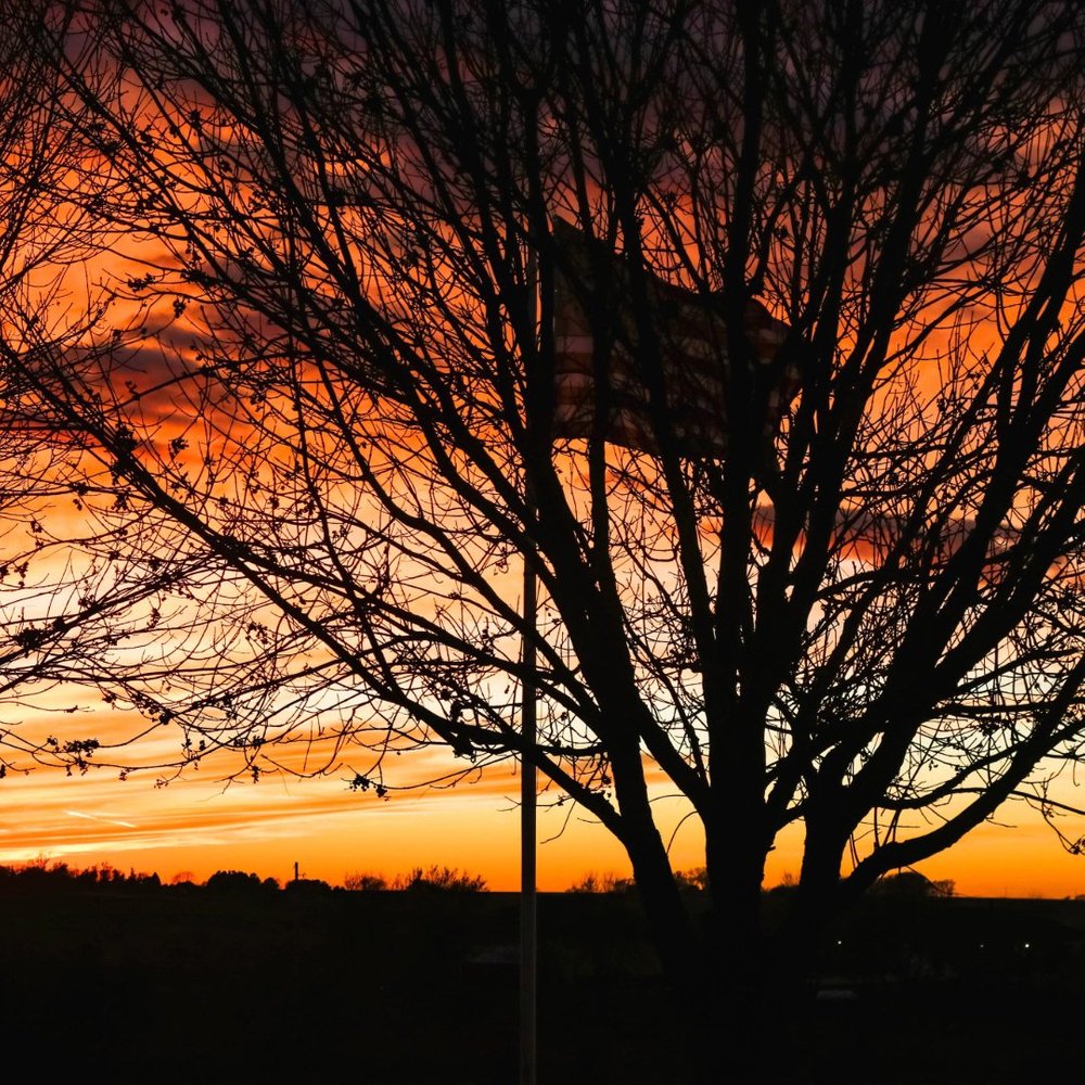 USDA Data Returns, Uncertainty Remains: A Look Inside the Post-Shutdown ...