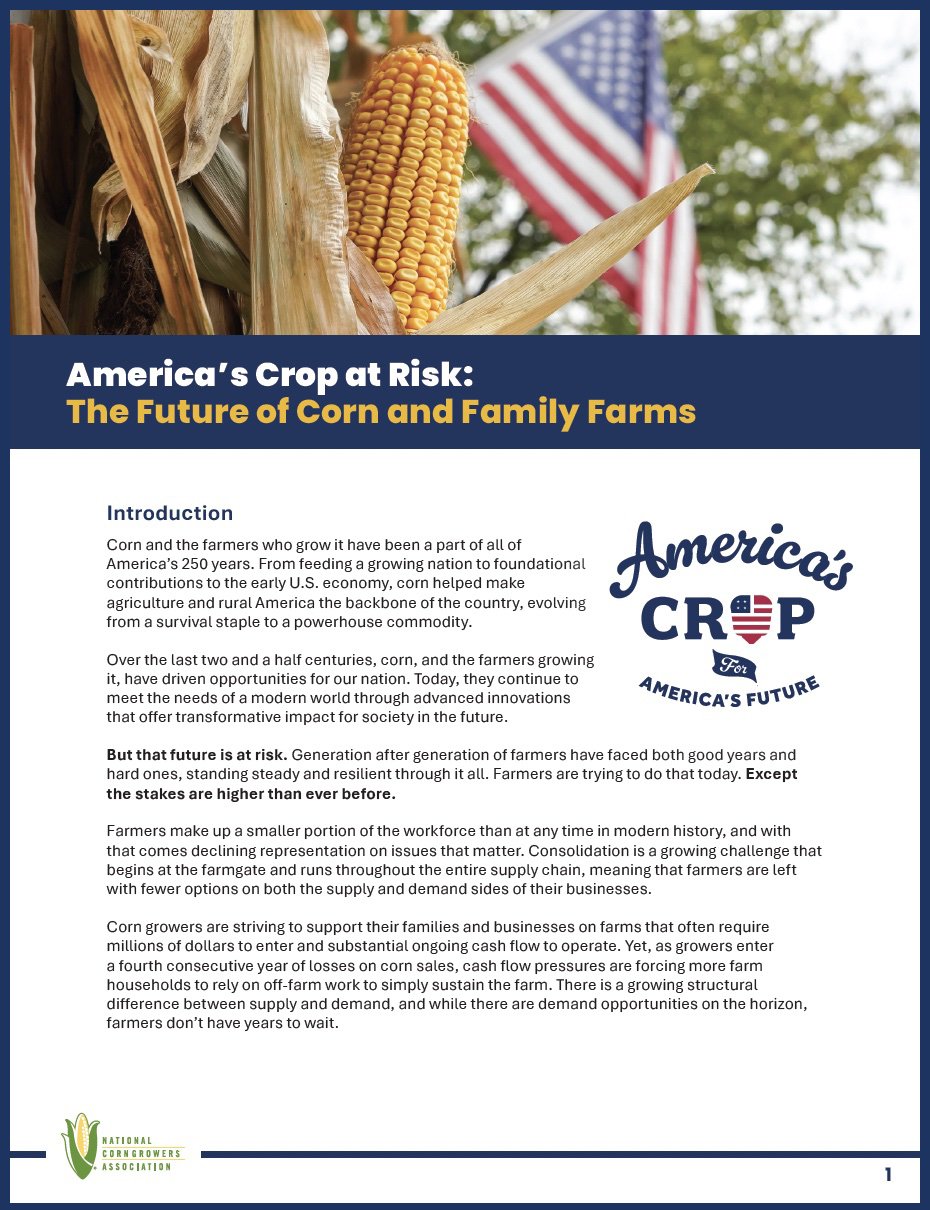 America's Crop at Risk: The Future of Corn and Family Farms
