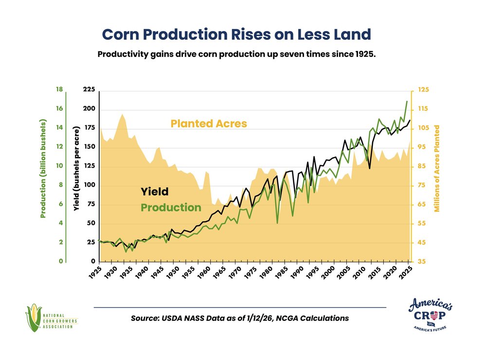 America's Crop at Risk: The Future of Corn and Family Farms
