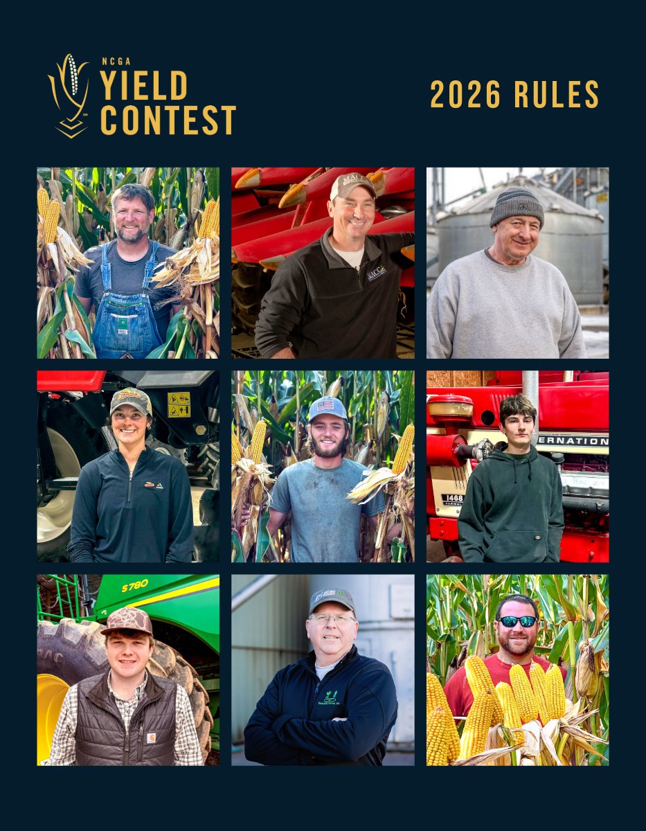 Yield Contest Rules & Online Guides
